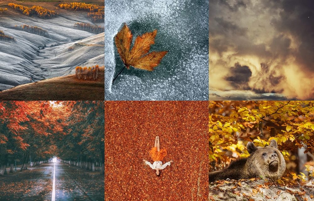 67 fotografii de toamnă superbe - F64 Blog